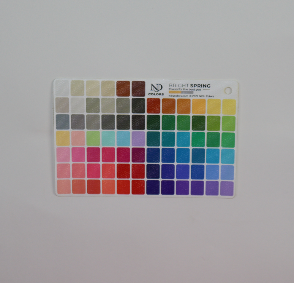 Bright Spring Mini Poster – NDU Colors