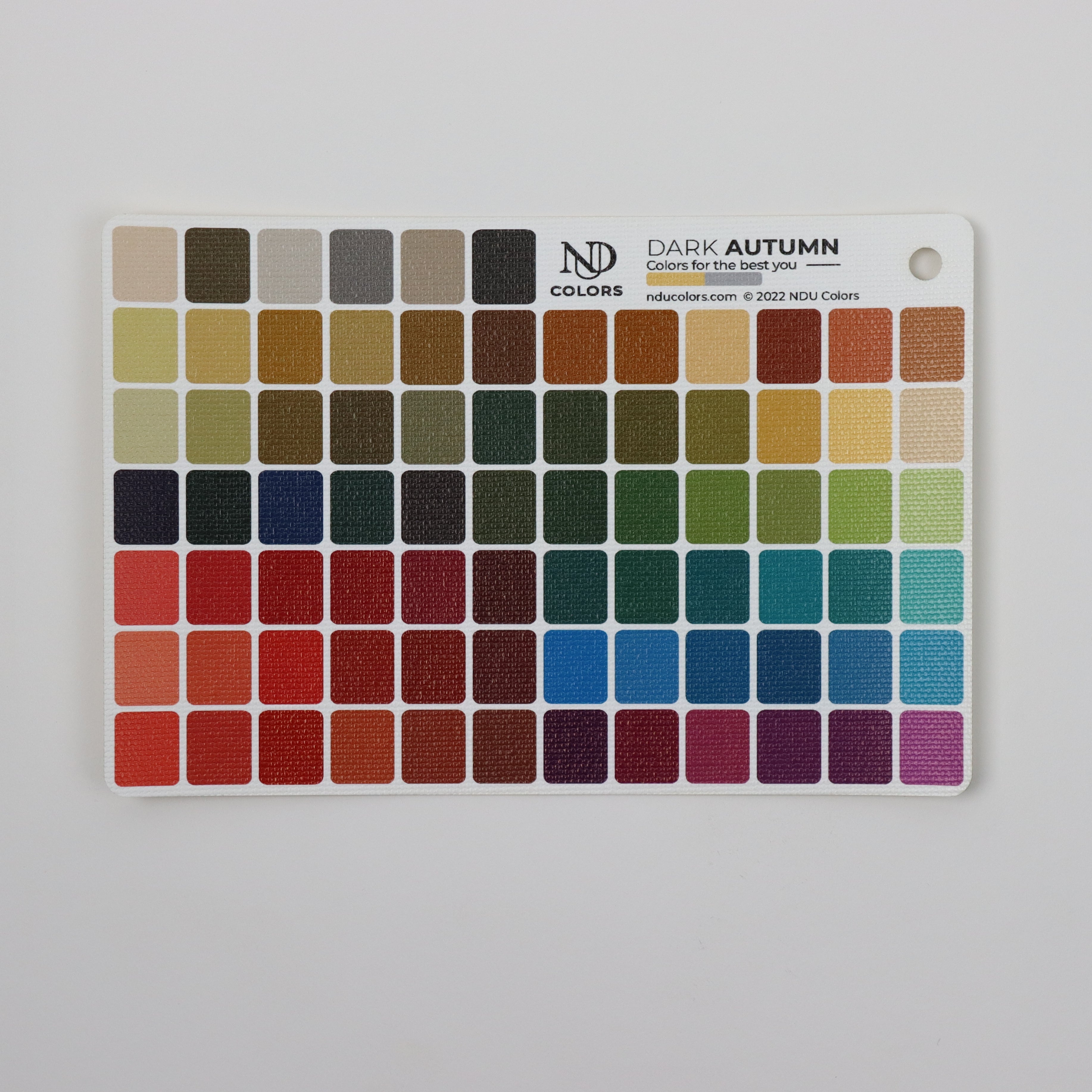 Dark Autumn Mini Poster – NDU Colors