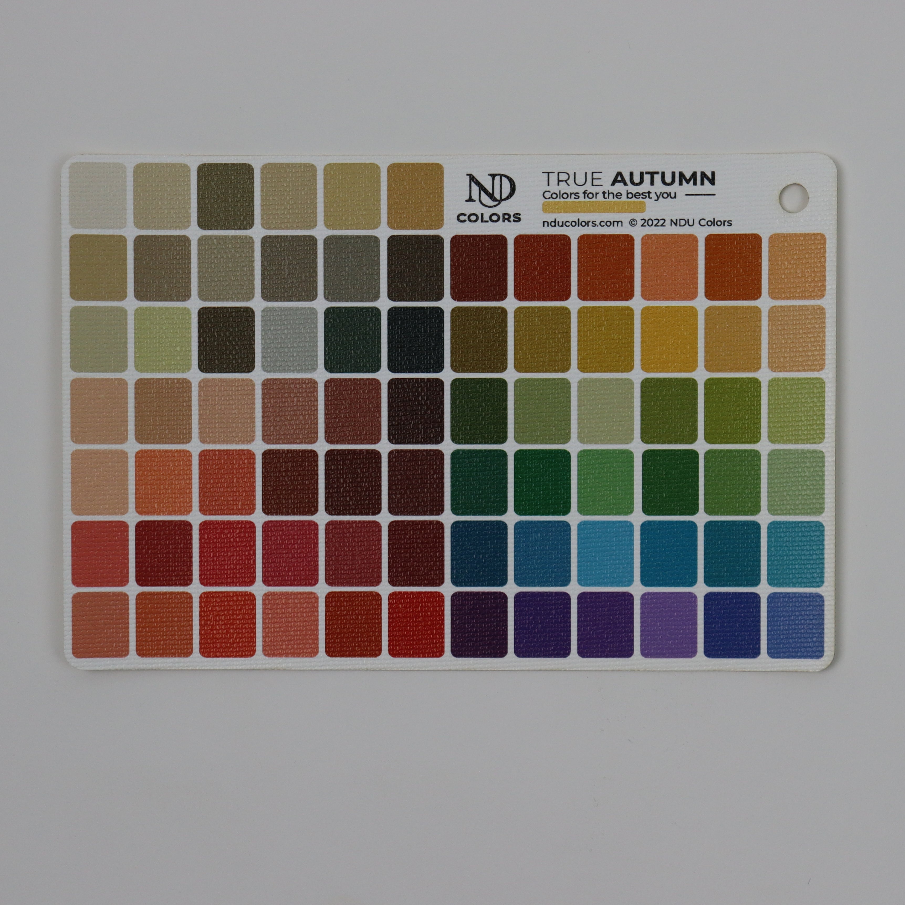 True Autumn Mini Poster – NDU Colors
