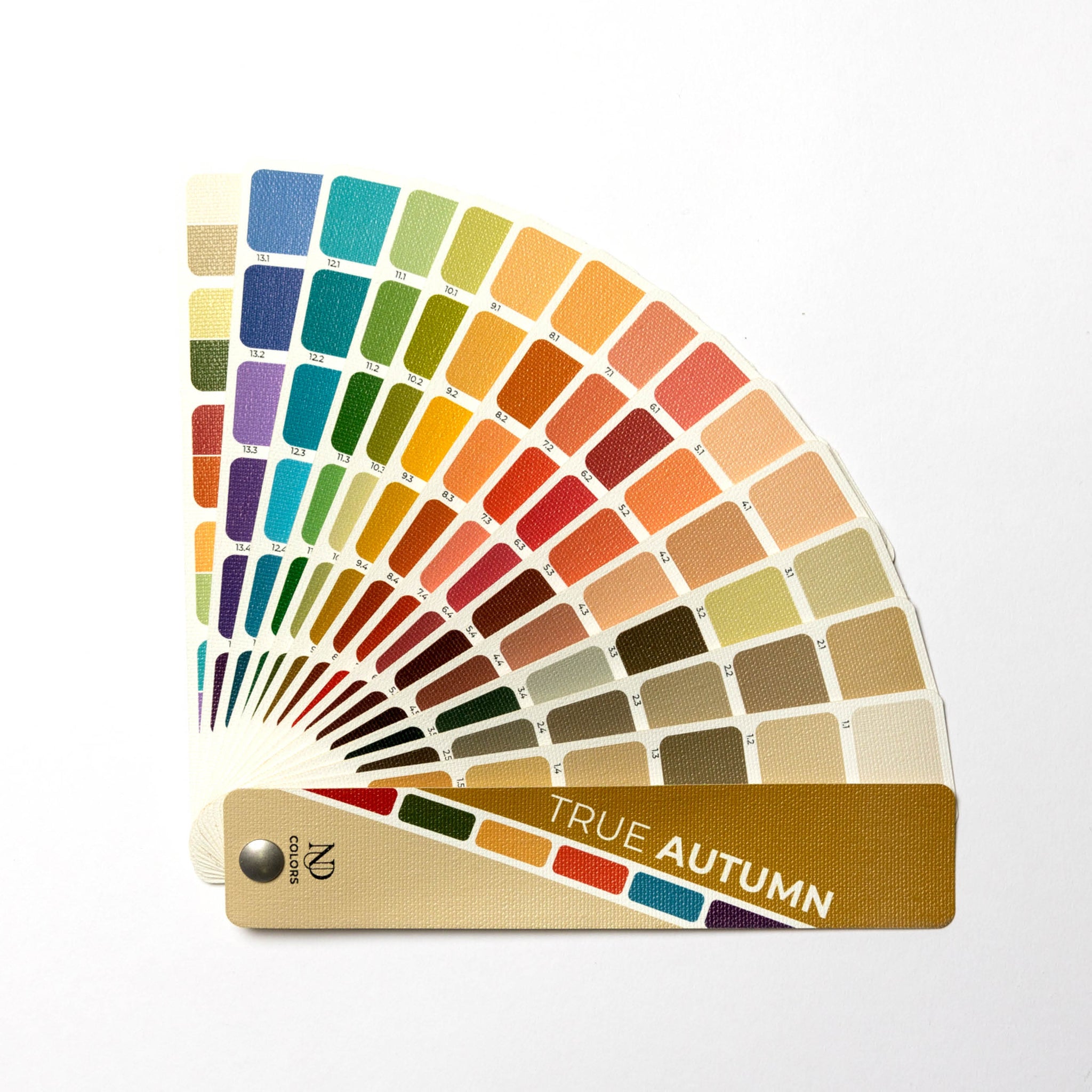 True Autumn Mini Fan – NDU Colors