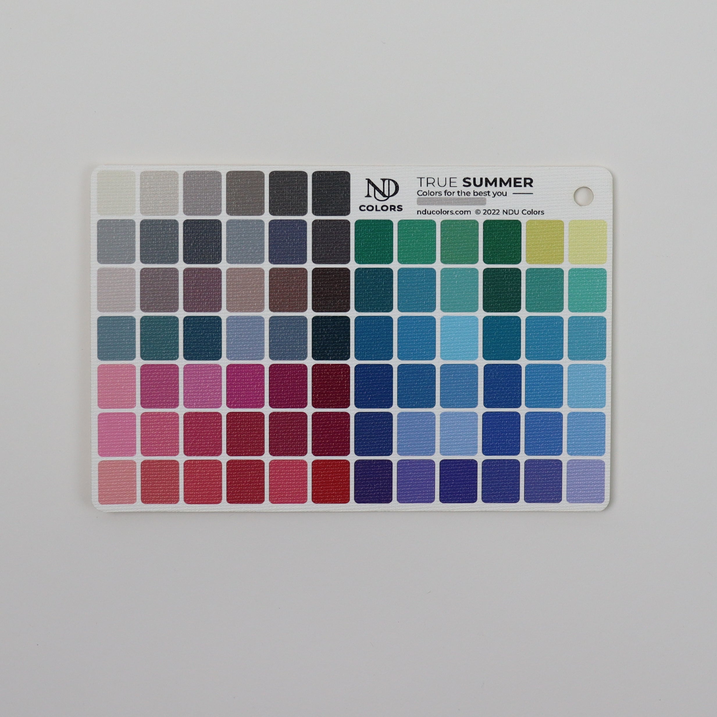 True Summer Mini Poster – NDU Colors