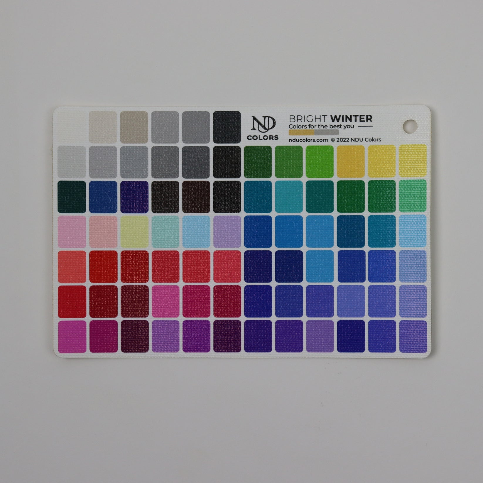 Bright Winter Mini Poster – NDU Colors